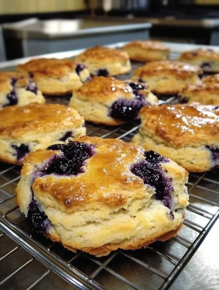 Blueberry Biscuits - A Must-Try Recipe - Culinary Delights